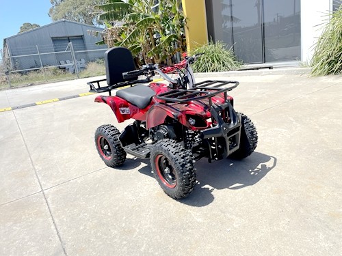 Quad bike for kids store
